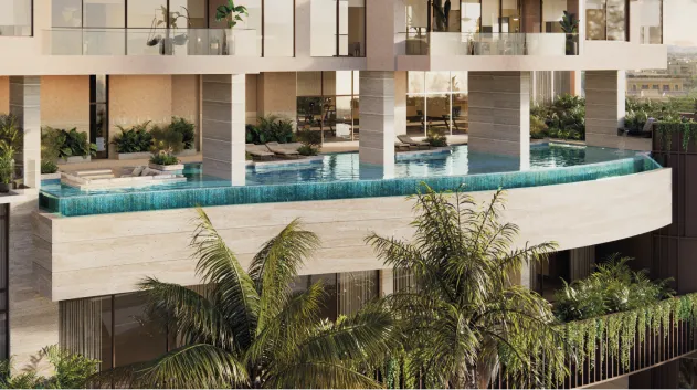 Tagua - The Panama Link