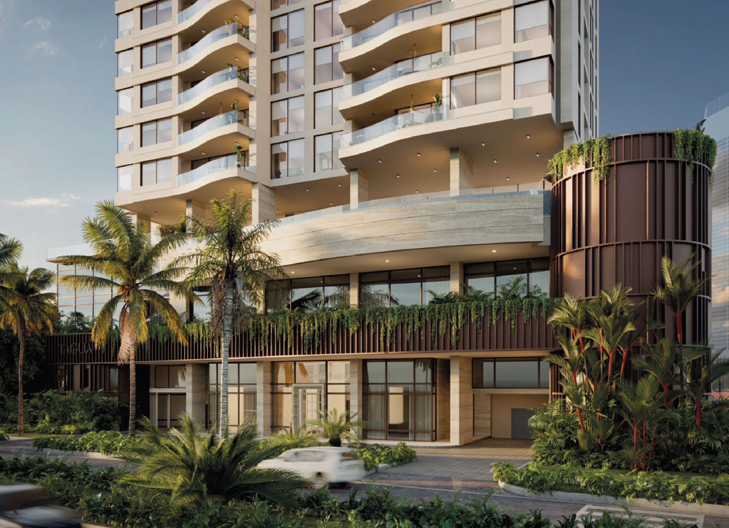 Tagua - The Panama Link